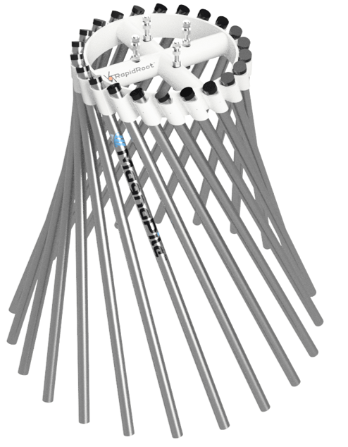 Rapidroot foundations